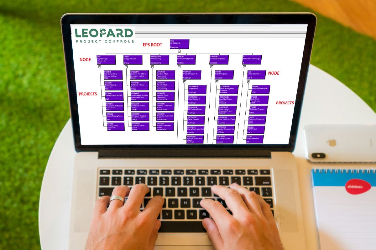 Work Breakdown Structure in Primavera P6 - Leopard